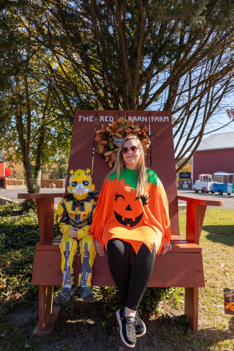 Red Barn Farm VA – Rescue Farm, Summer Camps, Schoolhouse & Events