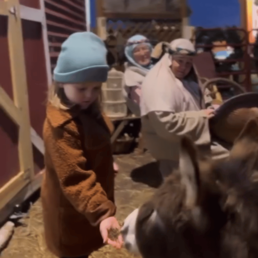 Public Events & Family Visits - The Red Barn Farm